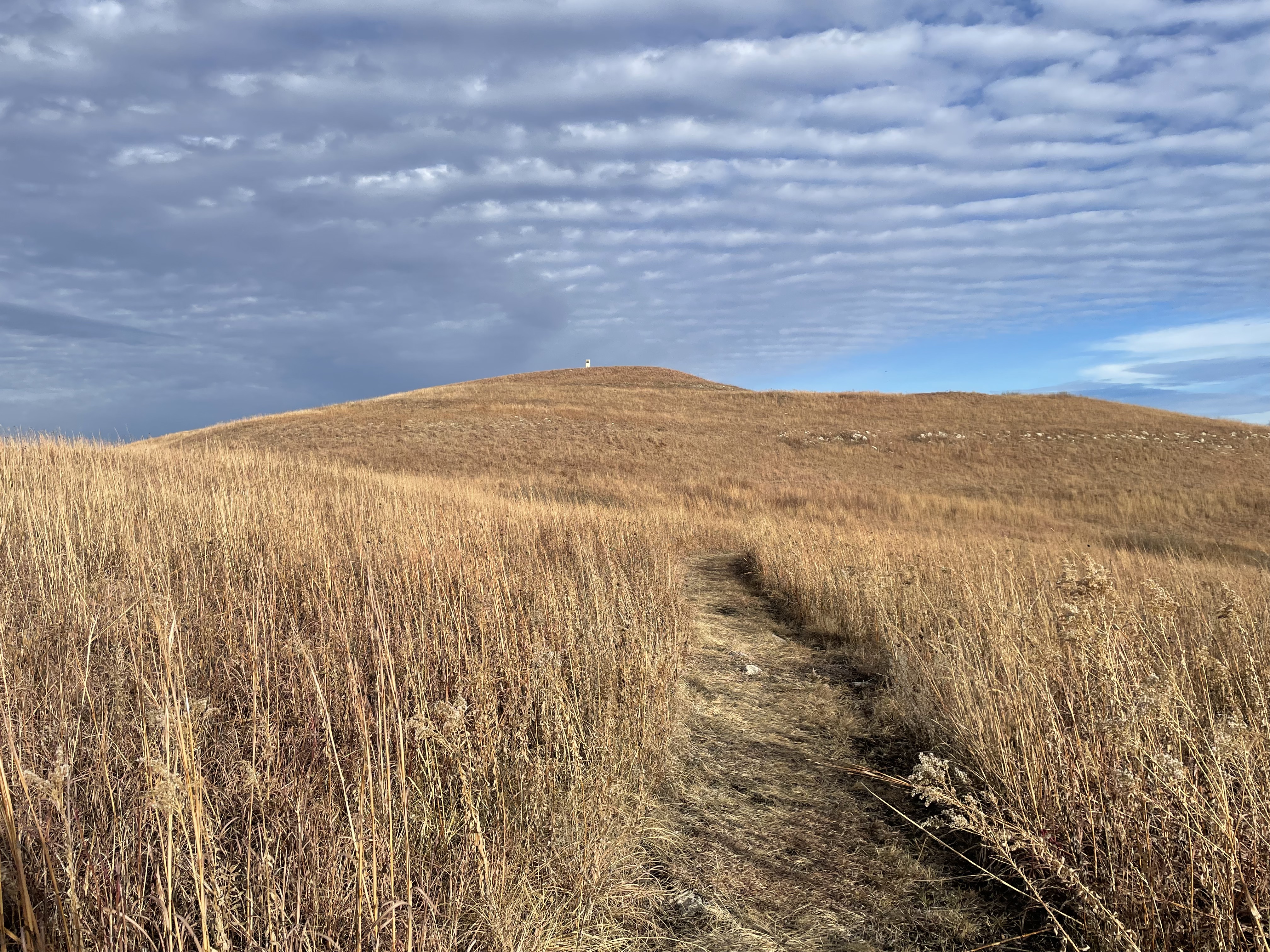 MountMitchell – Syllabus