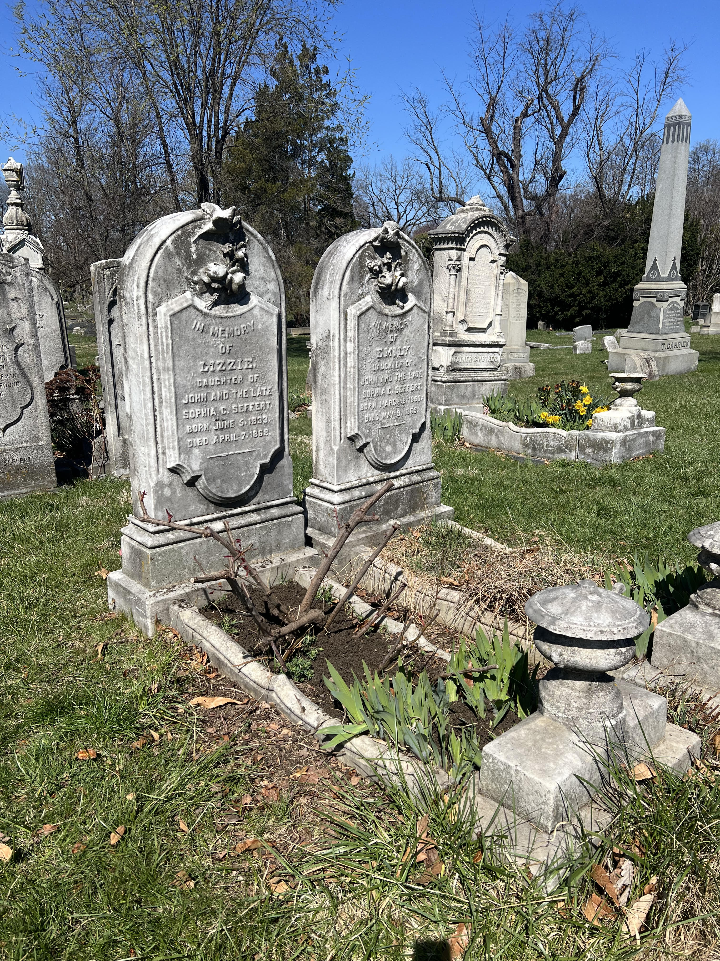 11. Lizzie Seffert – March 24 2024 – Syllabus
